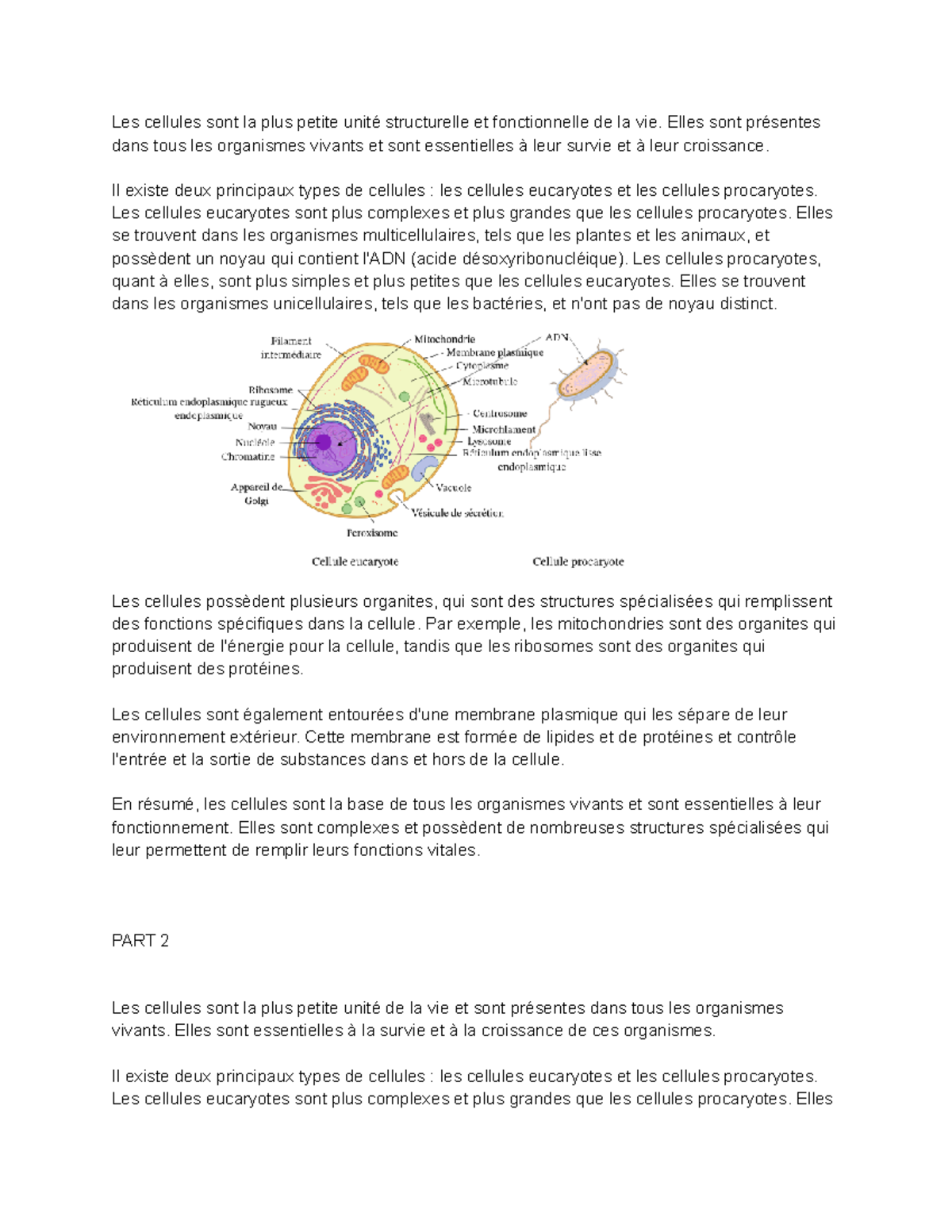 La cellule et ADN - Les cellules sont la plus petite unité structurelle ...