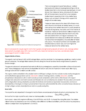 Testosterone - In general, testosterone is responsible for the ...