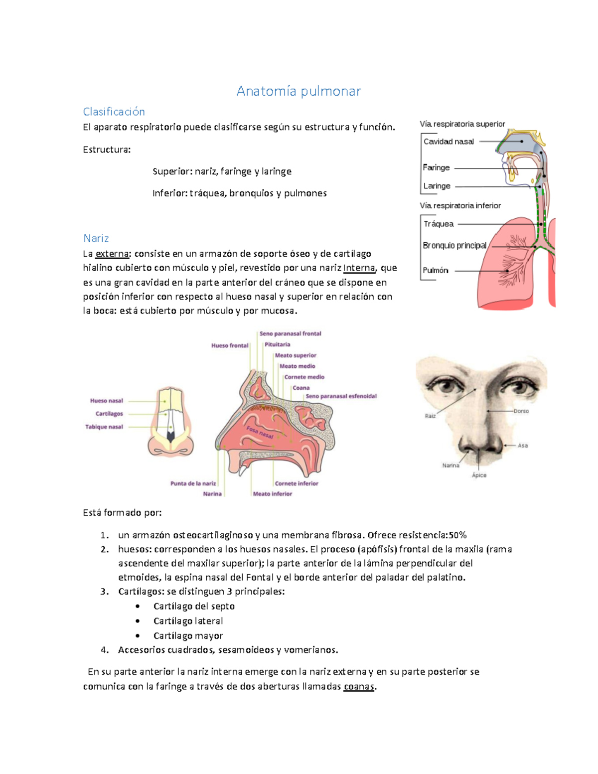 Apuntes cardiologíá 3er parcial - AnatomÌa pulmonar ClasificaciÛn El ...