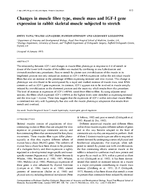 Rubric with scoring criteria - Performance Indicator Emerging ...