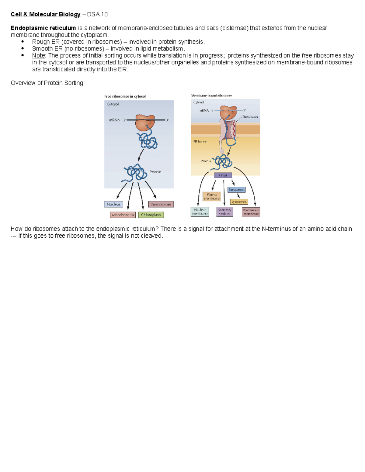 CMB - DSA 10 - Lecture notes 10 - Cell & Molecular Biology – DSA 10 ...