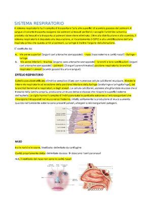 generalità e tessuti - GENERALITÀ E TESSUTI Anatomia: disciplina che ...