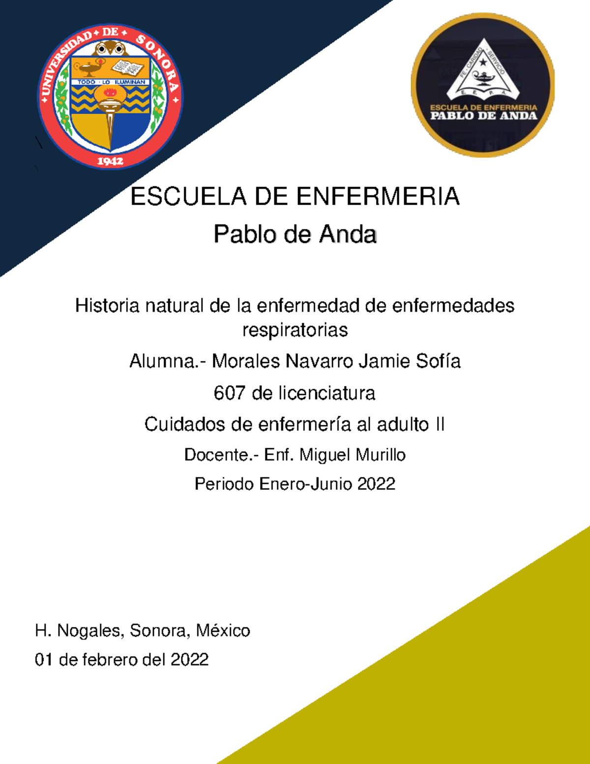 Tarea Enfermedades, Morales Navarro - \ \ ESCUELA DE ENFERMERIA Pablo ...