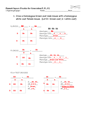 Collision theory worksheet - Name