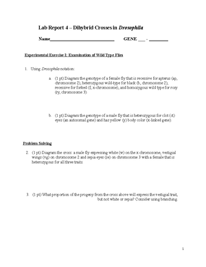 Lab Report 4 worksheets F22-312 - Lab Report 4 – Dihybrid Crosses in Drosophila Name: Kennedy ...