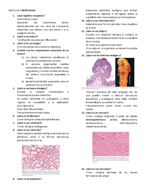 02 Farmacos Procineticos Y USOS - FARMACOS PROCINETICOS Y USOS ...