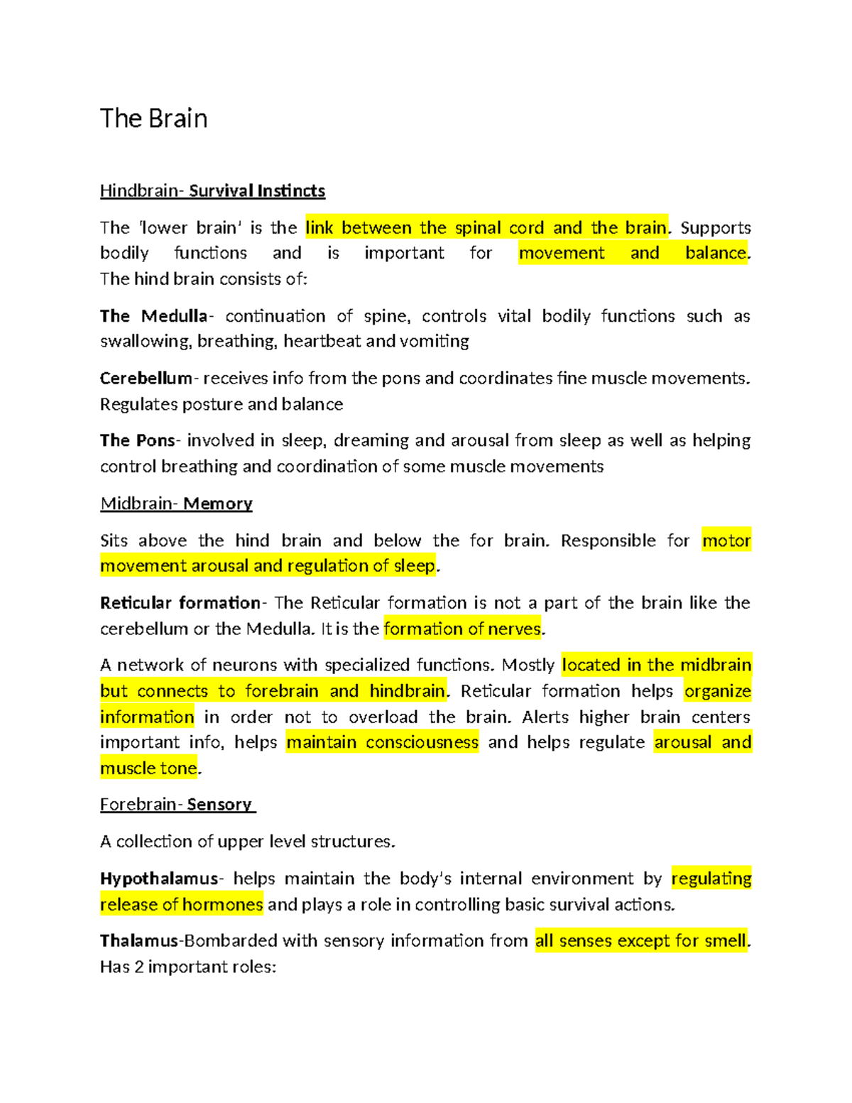 1. The Brain - The Brain Hindbrain- Survival Instincts The ‘lower brain ...