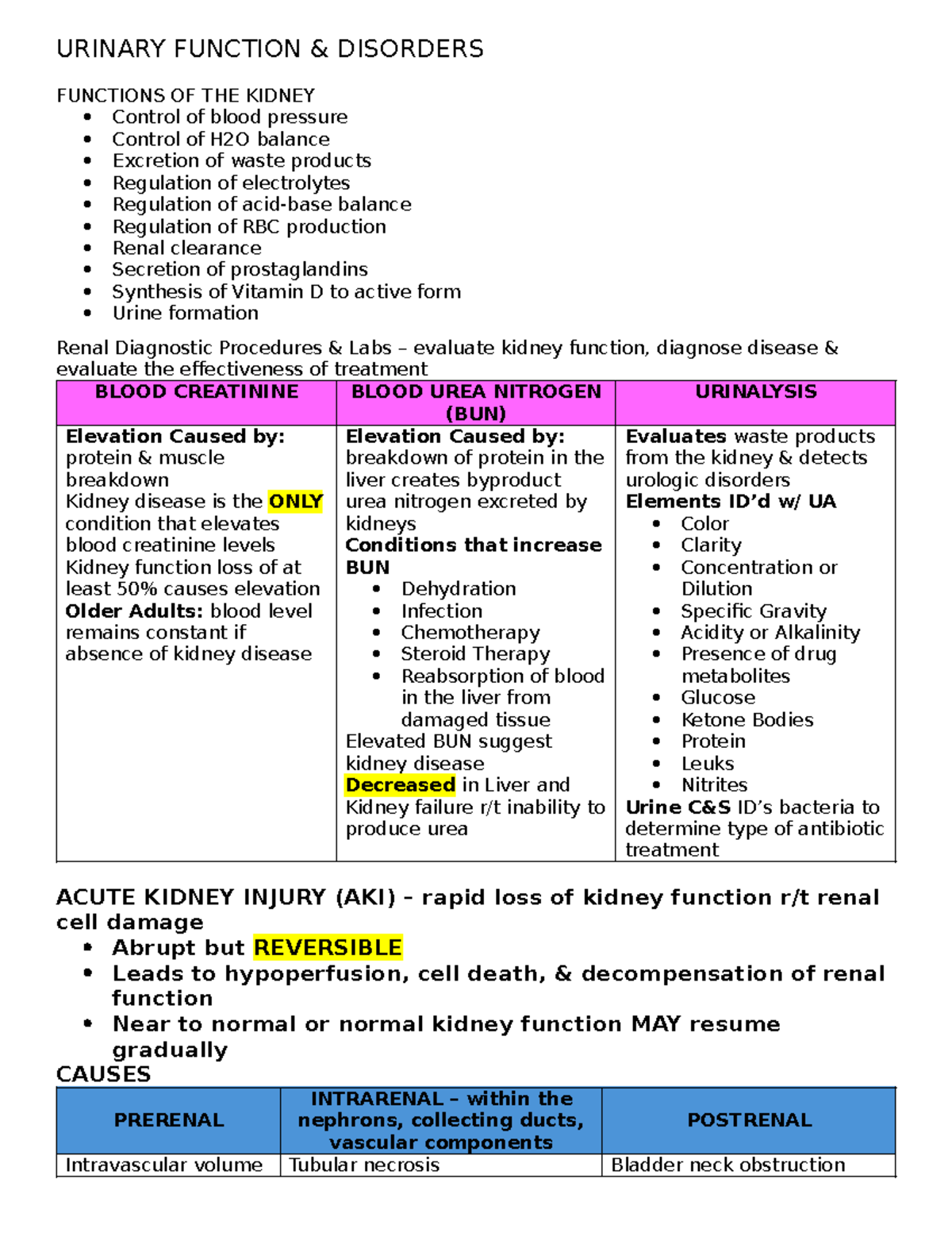 Kidney Function - FUNCTIONS OF THE KIDNEY Control of blood pressure ...