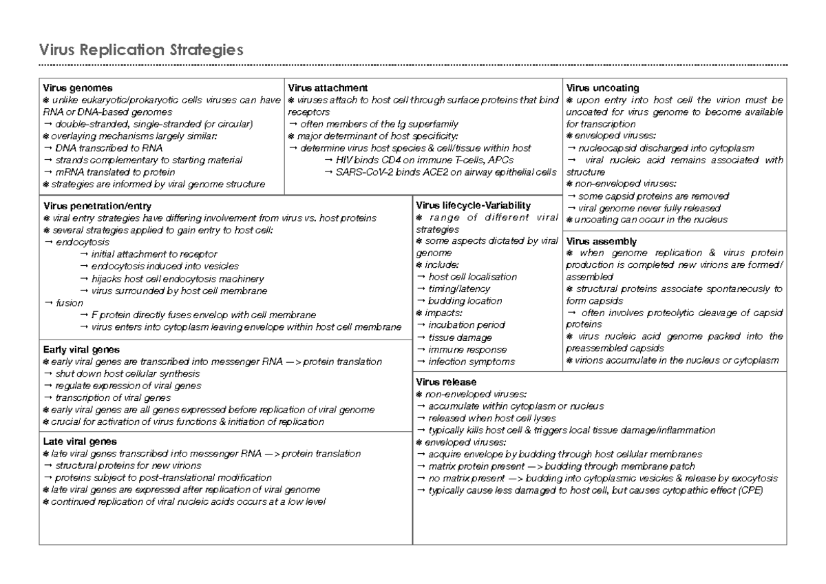 Virus Replication Strategies - host proteins ¿ several strategies ...