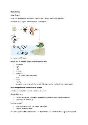 lecture 8- Semiochemicals - ‫‪Corps flower:‬‬ ‫‪Need flies to reproduce ...