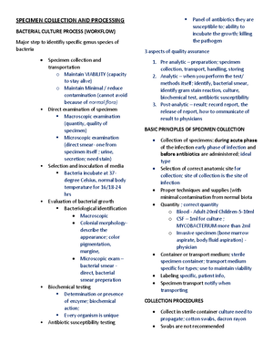 BACT Lab Practicals Reviewer - Gram Staining common, important, and ...