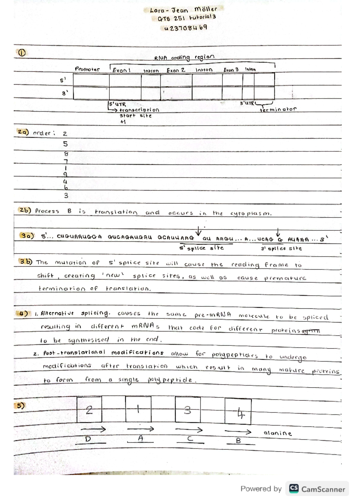 GTS251tutorial 3answers - GTS 251 - Studocu