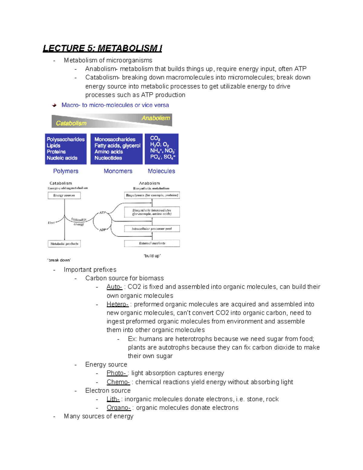 M122 Lecture 5 Notes - LECTURE 5: METABOLISM I Metabolism of ...