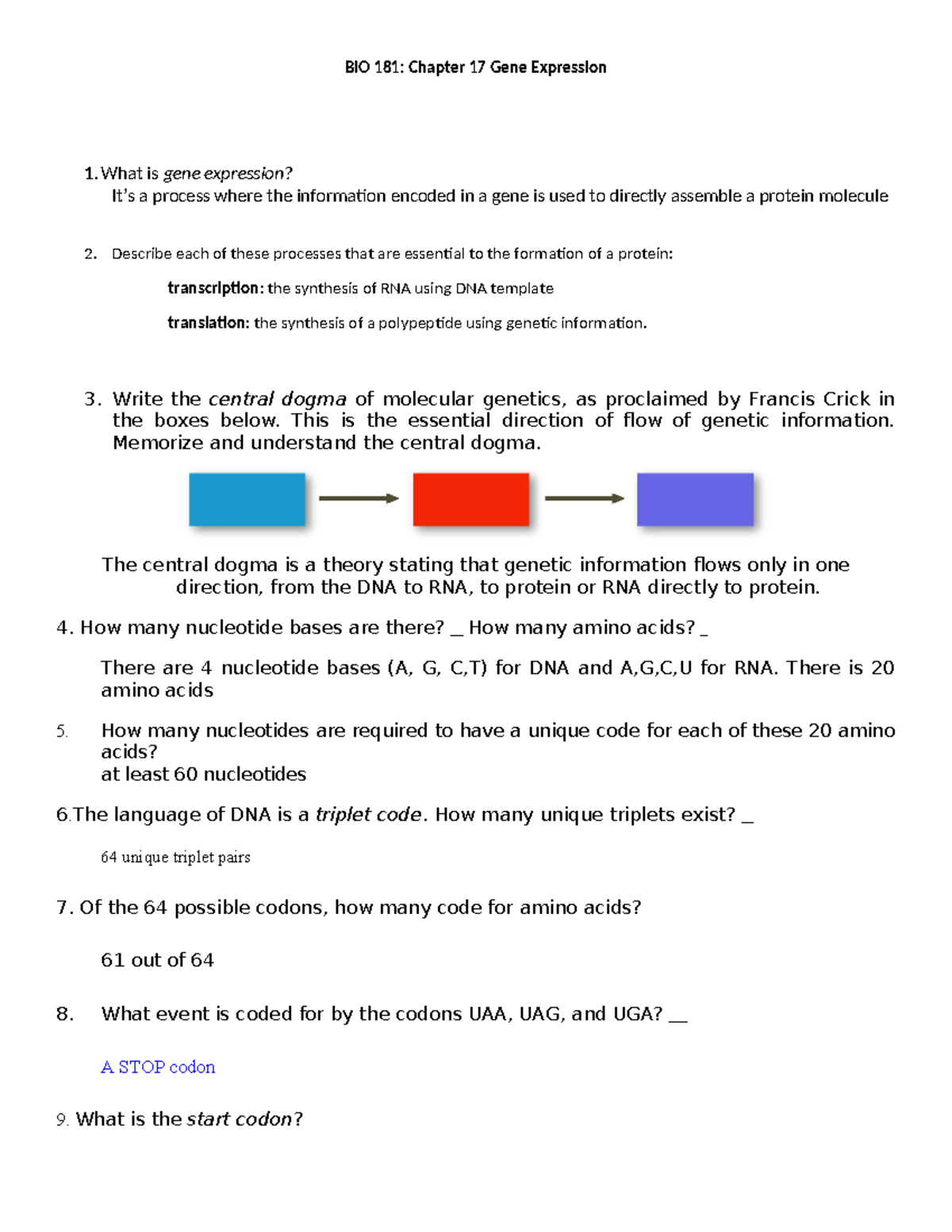 Ch. 17 study guide - BIO 181: Chapter 17 Gene Expression 1. What is ...