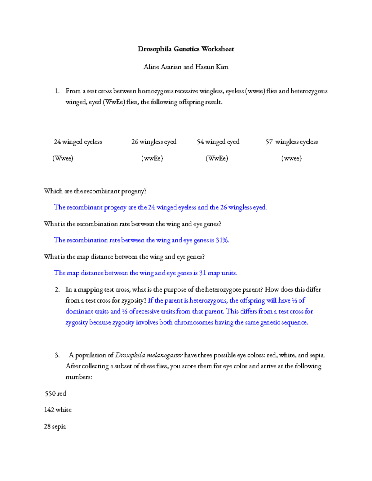 Drosophila Genetics Worksheet - 24 winged eyeless 26 wingless eyed 54 ...