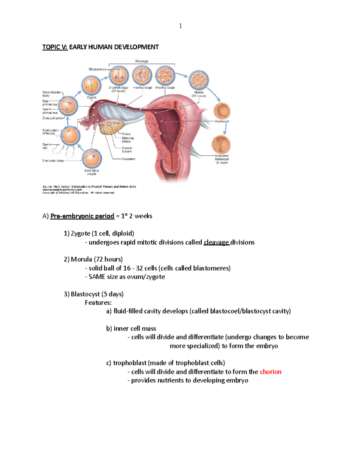 Topic V Early Human Development - 1 TOPIC V: EARLY HUMAN DEVELOPMENT A ...