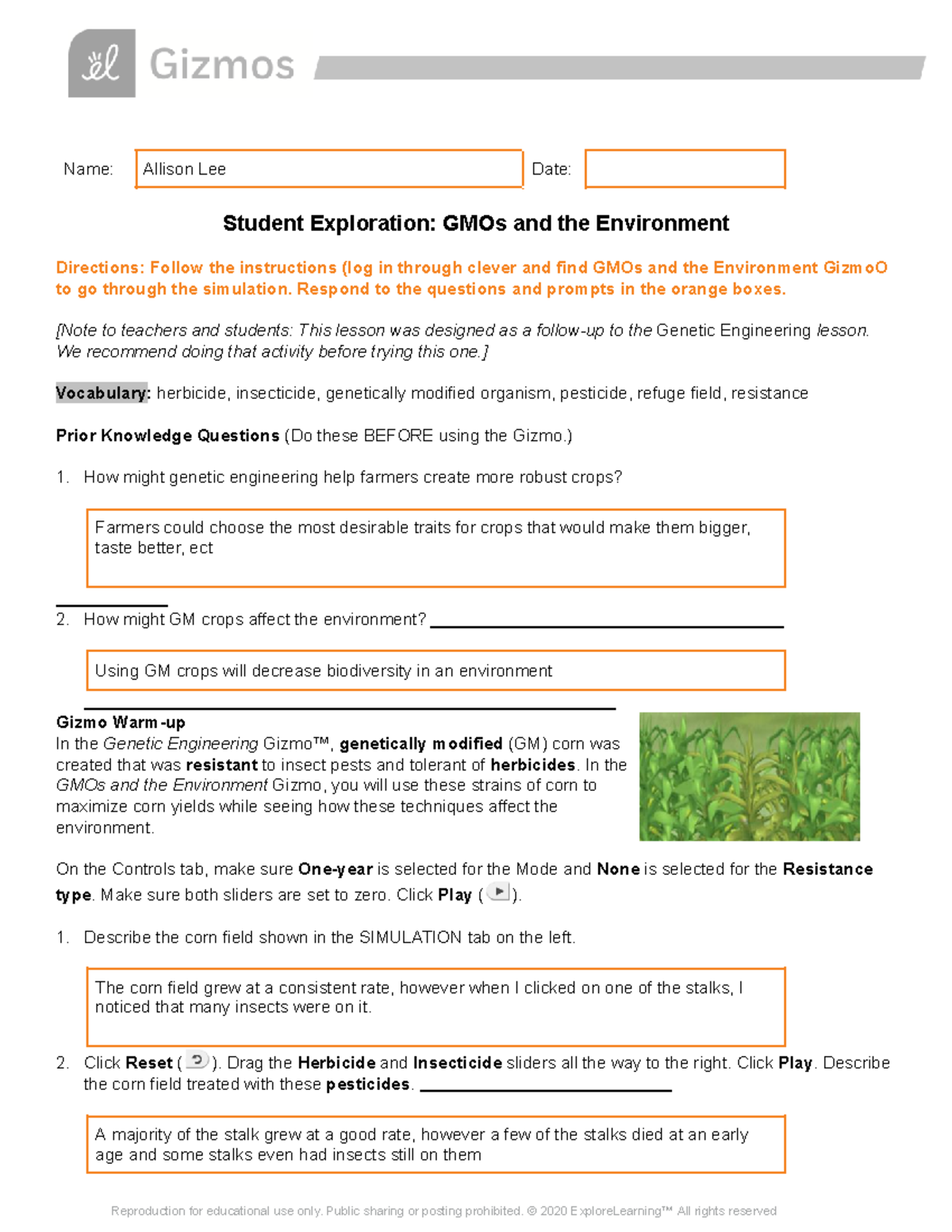 GMOs and the Environment: Maximizing Corn Yield - Studocu