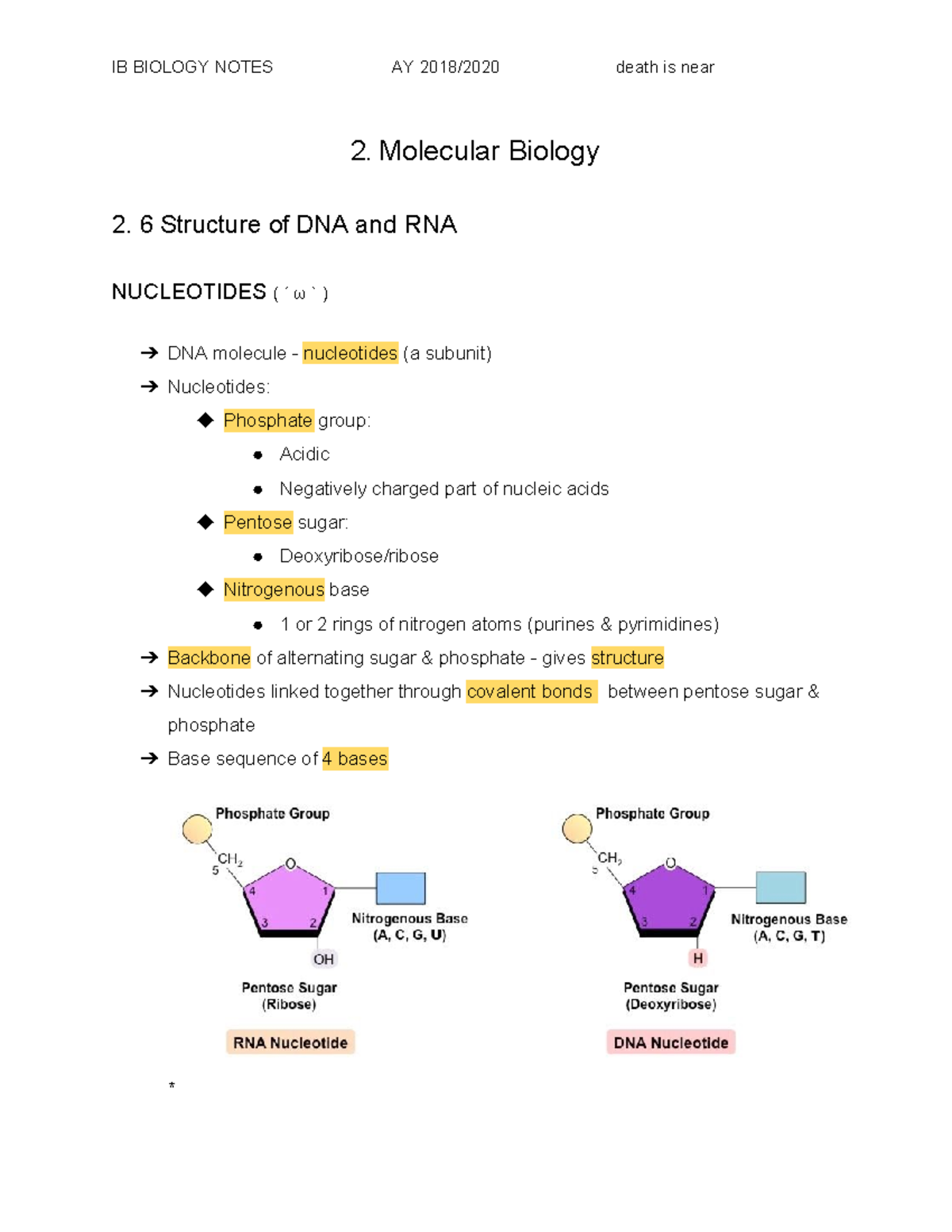 Bio course notes-1 - 2. Molecular Biology 2. 6 Structure of DNA and RNA ...