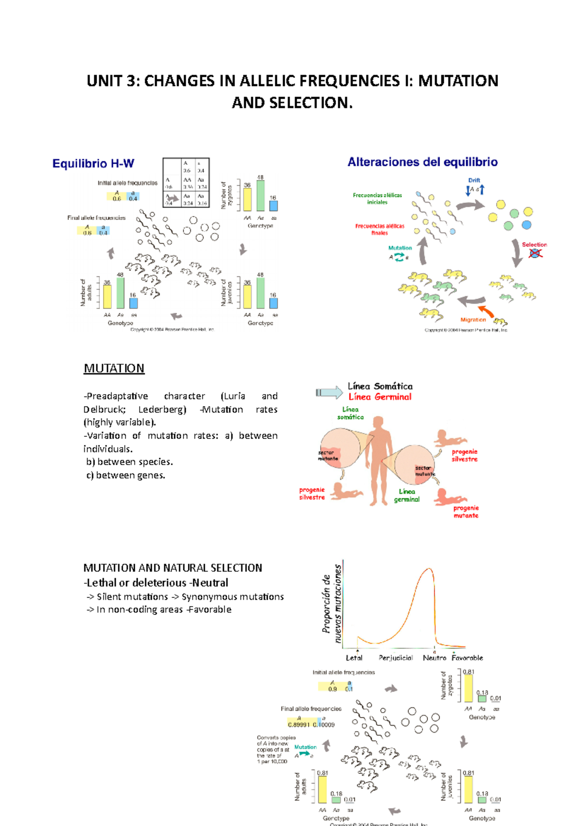 Unit 4 Cell Biology - Lecture notes 4 - UNIT 3: CHANGES IN ALLELIC ...