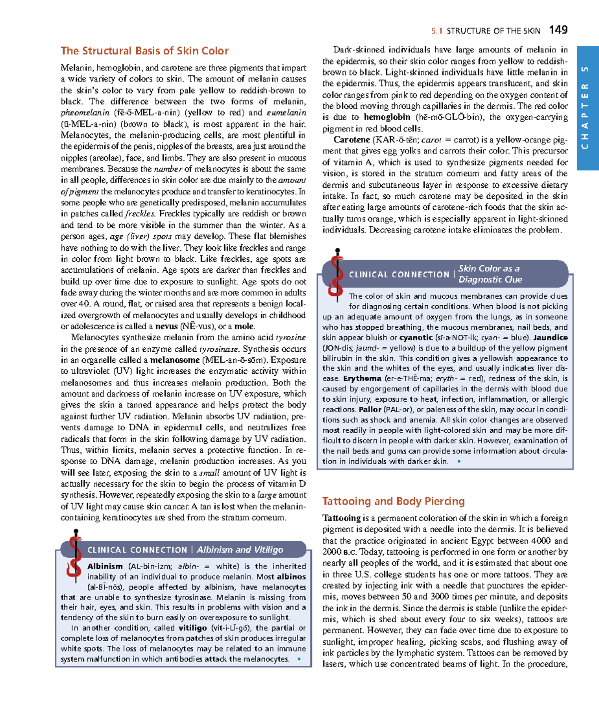 Anatomyand Physiology-61 - C H A P T E R 5 5 STRUCTURE OF THE SKIN 149 ...
