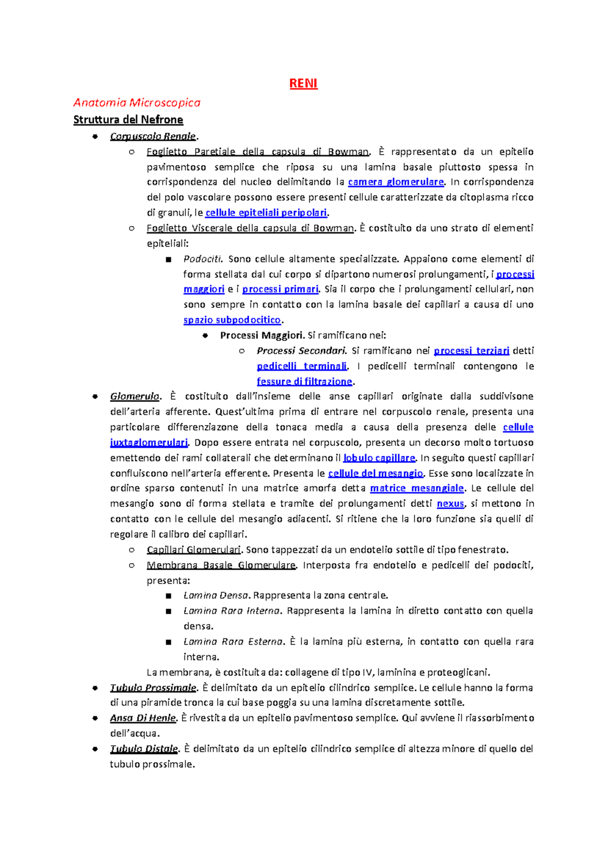 03 - Rene - Struttura - Rene - RENI Anatomia Microscopica Struttura del ...