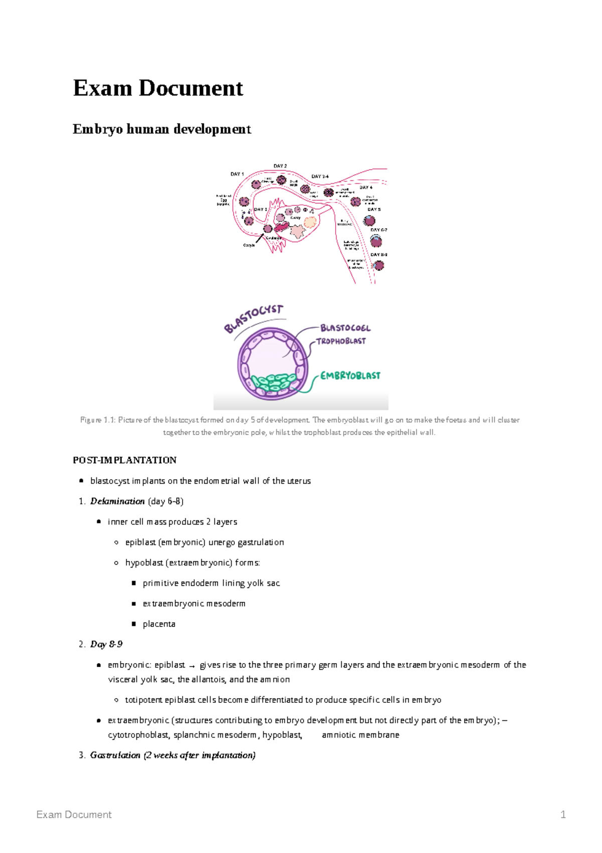 DEV2011 Exam Document - Exam Document Embryo human development POST ...