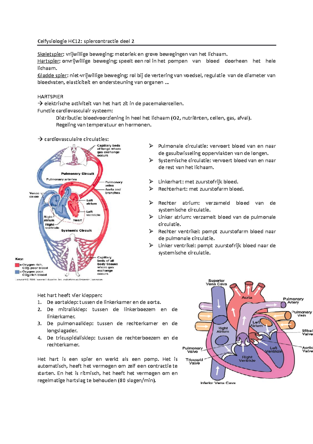 HC12 - celfysiologie HC12 samenvatting - Celfysiologie HC12 ...