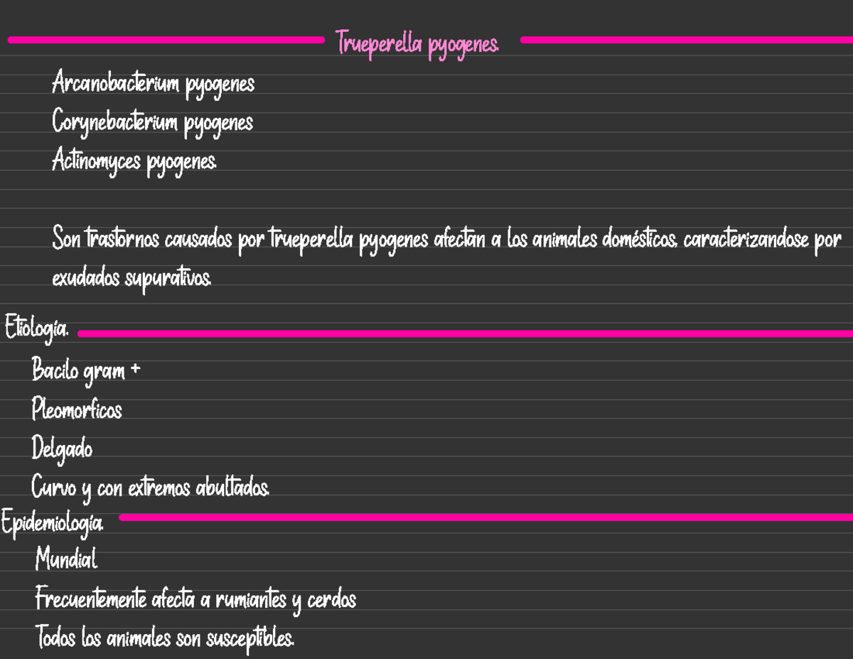 Trueperella pyogenes - Arcanobacterium pyogenes Corynebacterium ...