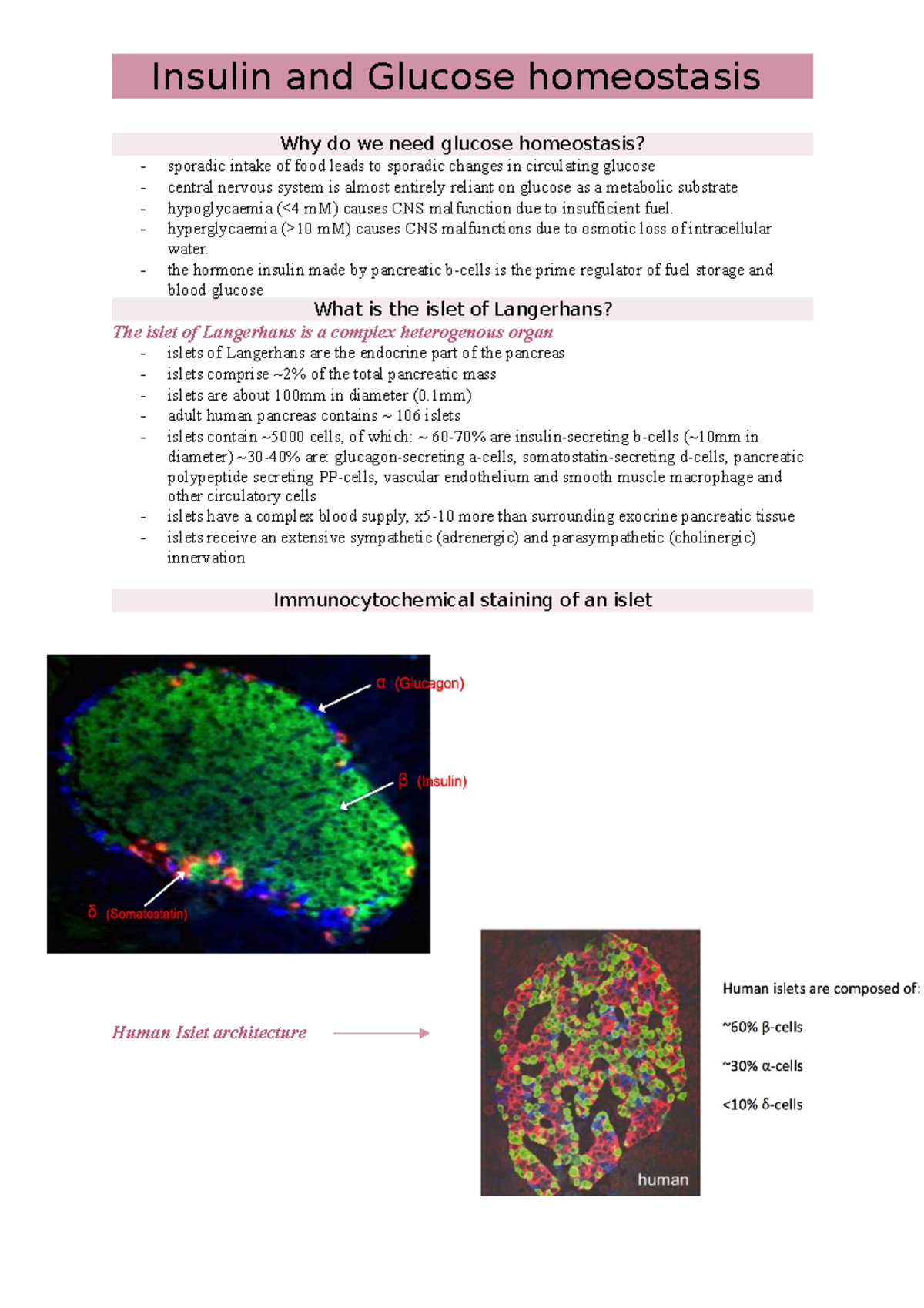 Lecture 1- insulin and glucose homeostasis - Why do we need glucose ...