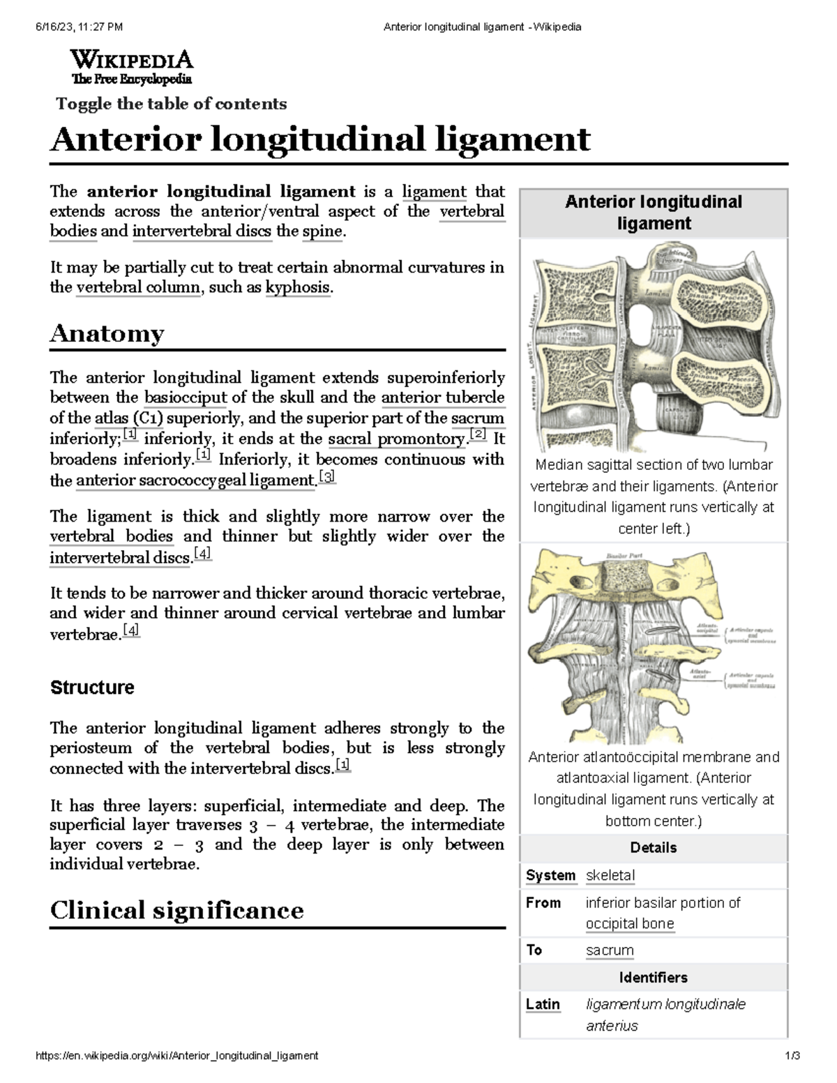 Anterior longitudinal ligament - International Business - Studocu