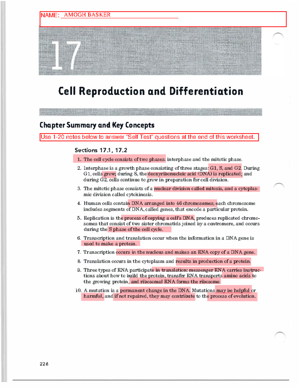 Worksheet CH. 17 CELL Reproduction AND Differentiation - Cell ...
