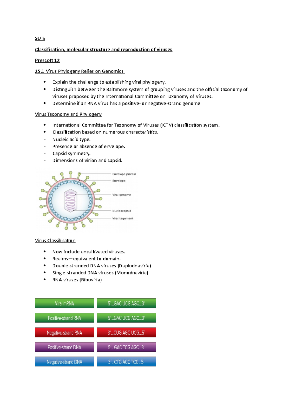 SU 5 MKBS221 - Mkbs notes - SU 5 Classification, molecular structure ...