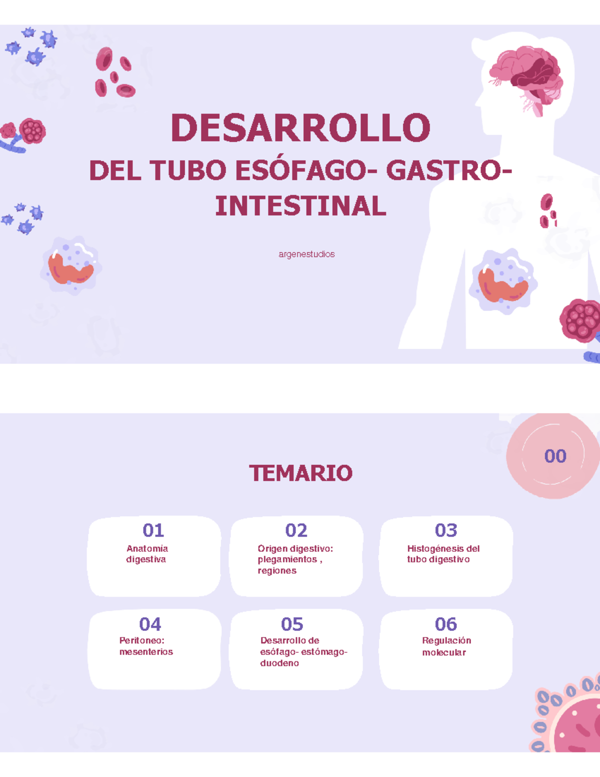 Embtiologia DEL Aparato - DESARROLLO DEL TUBO ESÓFAGO- GASTRO ...