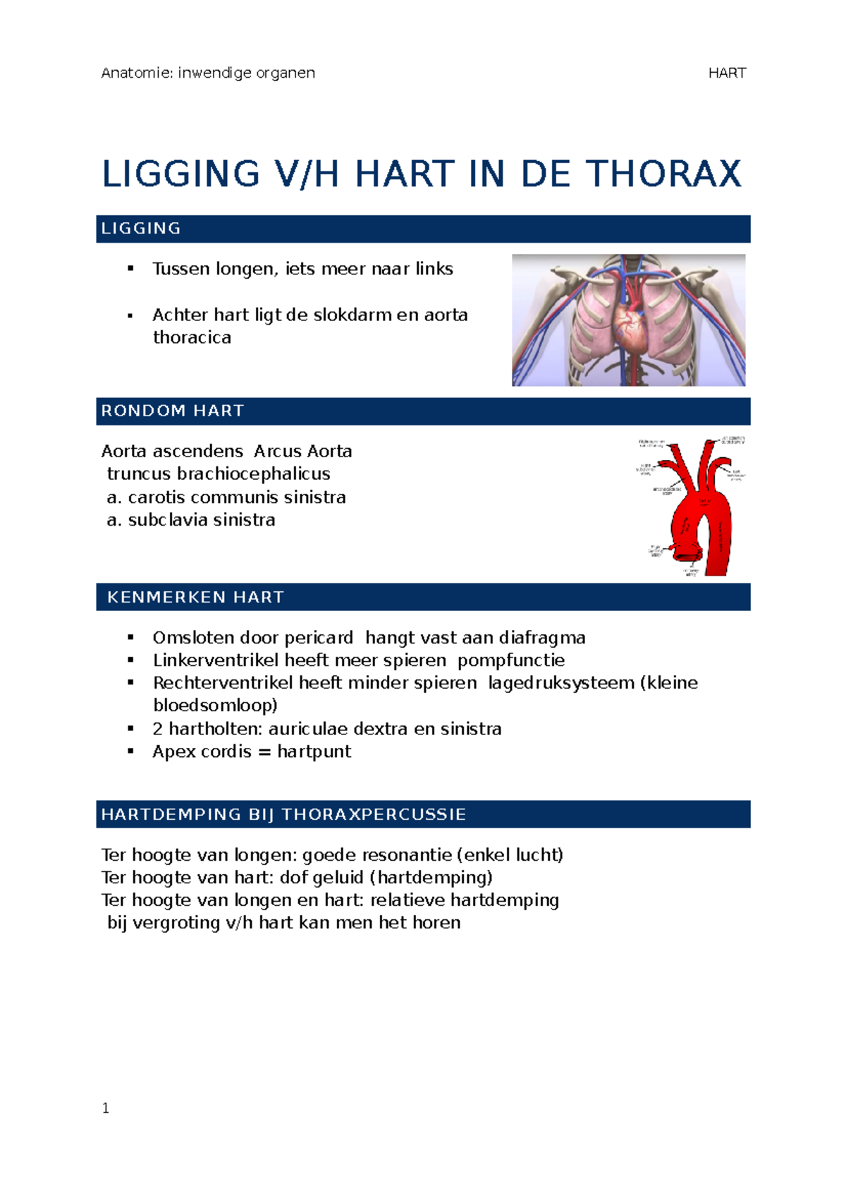 SV 4 Hart - Samenvatting hoofdstuk 4: het hart. Gebaseerd op les en ...