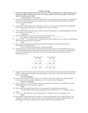 Chapter 5 summary - Genetics Concepts DNA and RNA Structures DNA ...
