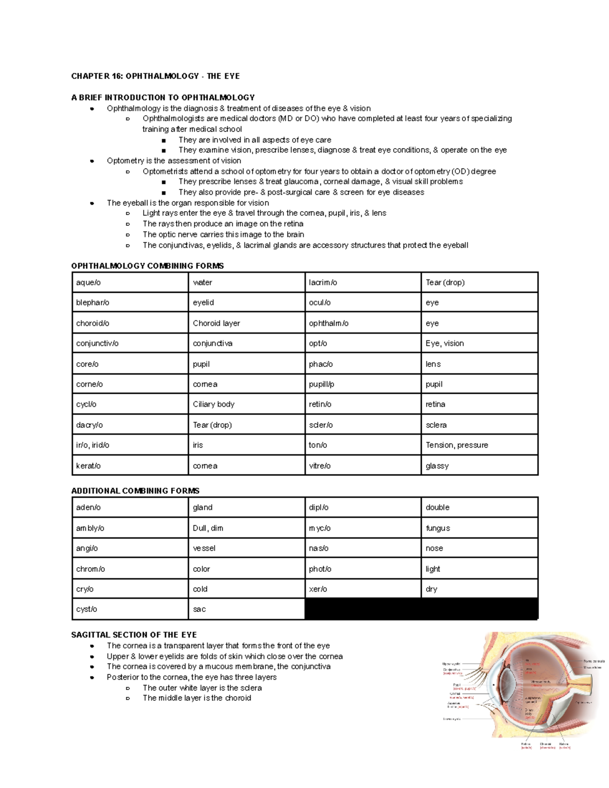 HSA 3534 Chp 16 Notes - CHAPTER 16: OPHTHALMOLOGY - THE EYE A BRIEF ...