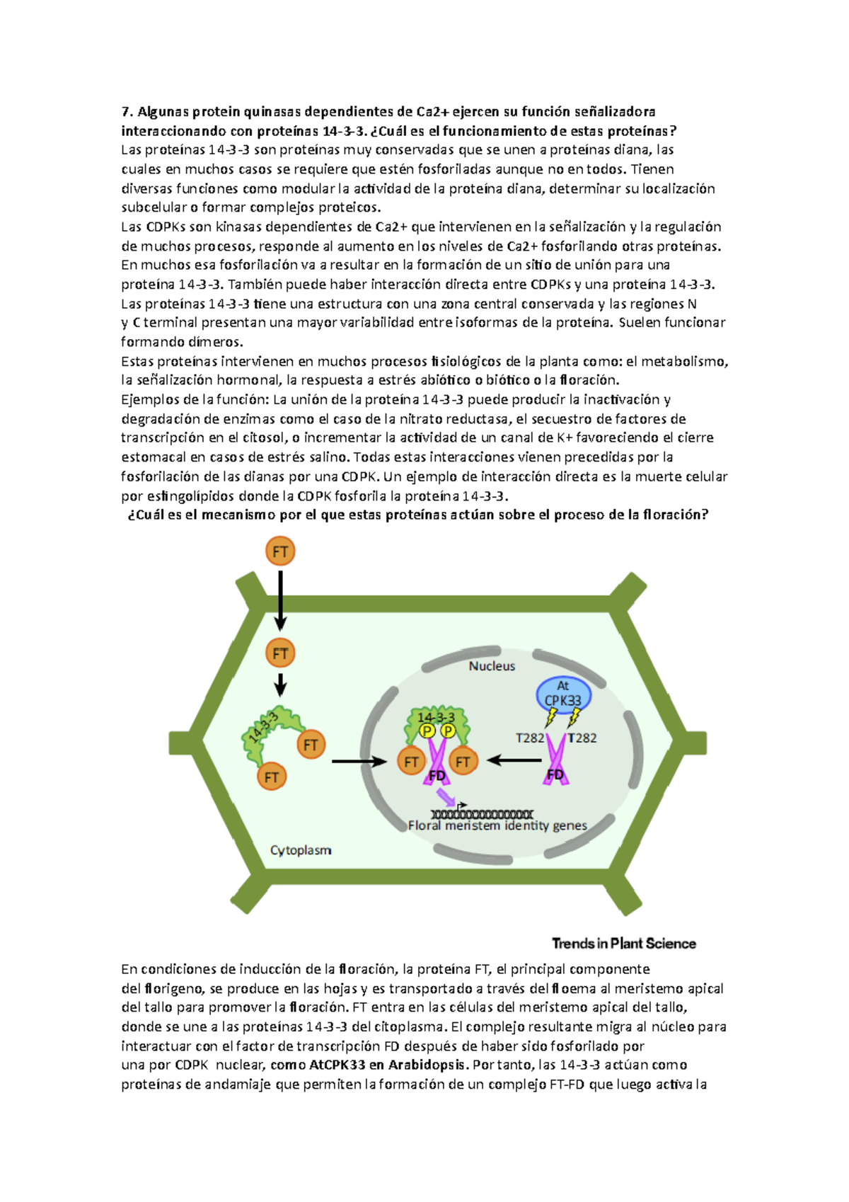 Pregunta 7 - Apuntes 7 - 7. Algunas protein quinasas dependientes de ...