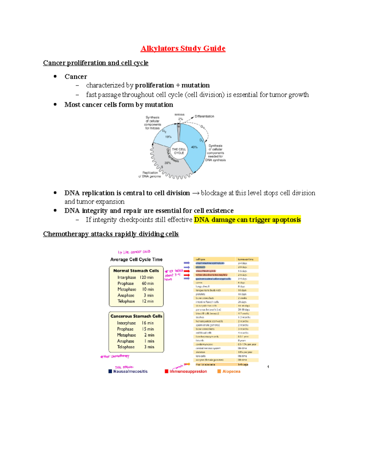 Alkylators Study Guide - Alkylators Study Guide Cancer proliferation and cell cycle Cancer ...