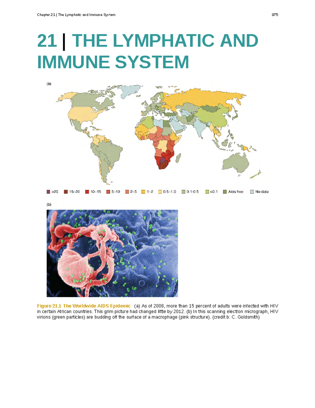 Chapter 21 - text - 21 | THE LYMPHATIC AND IMMUNE SYSTEM Figure 21 The ...