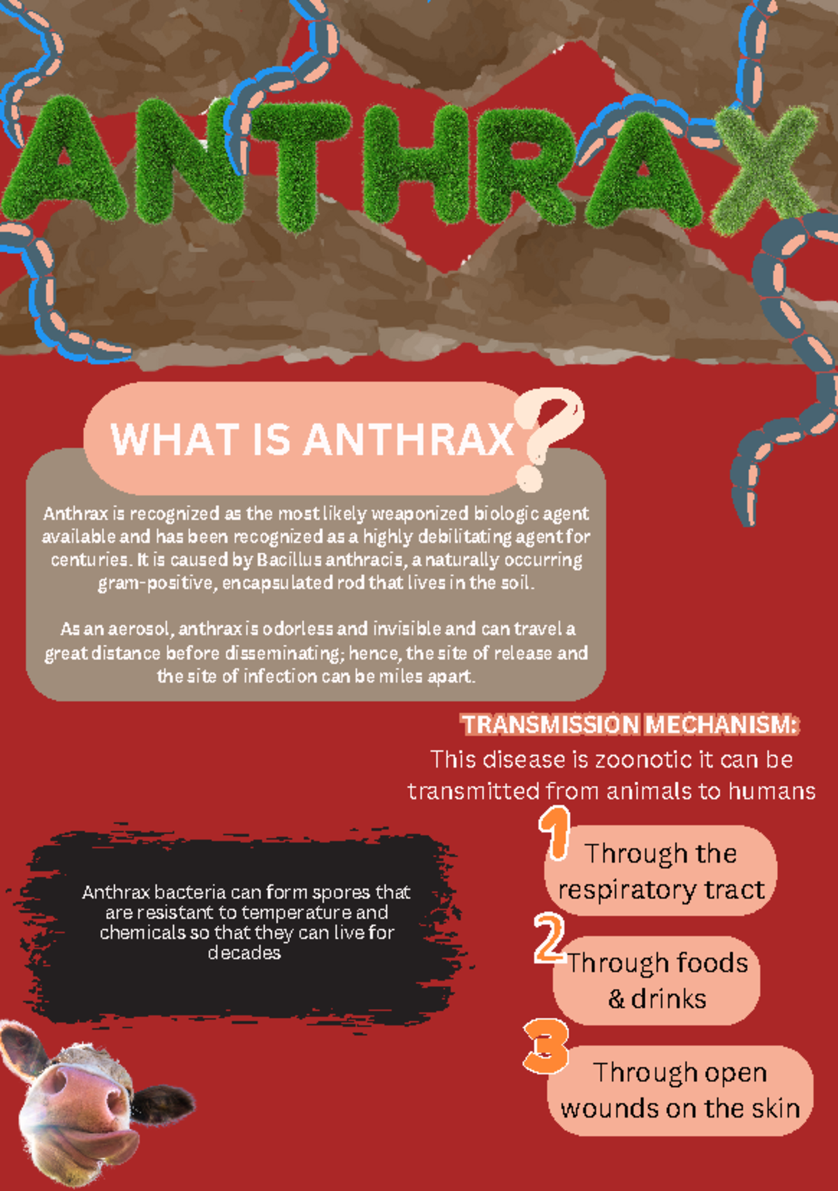 Anthrax - Aragon - Biologic weapons or crisis - Through the respiratory ...