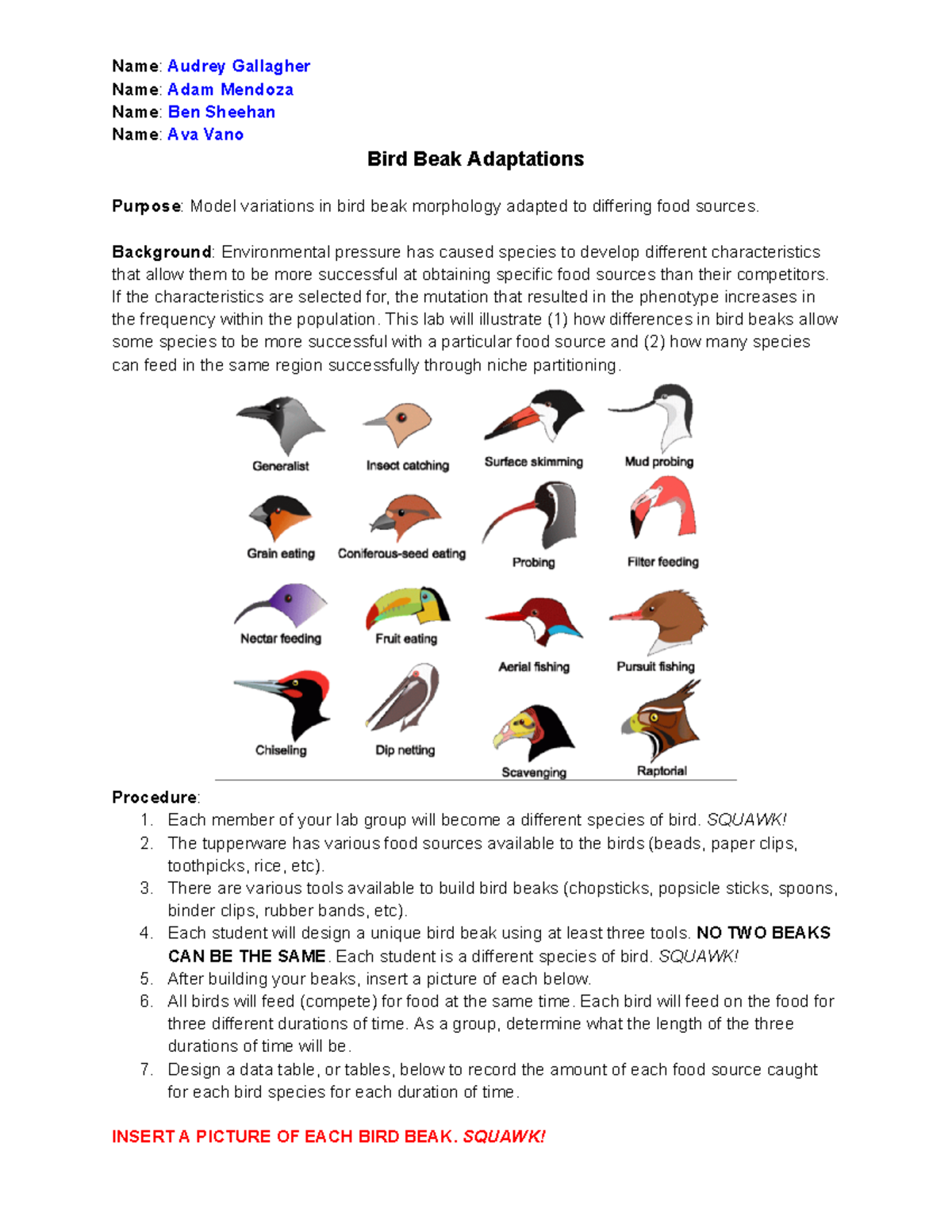 Lab - Bird Beak Adaptations - Name: Audrey Gallagher Name: Adam Mendoza ...