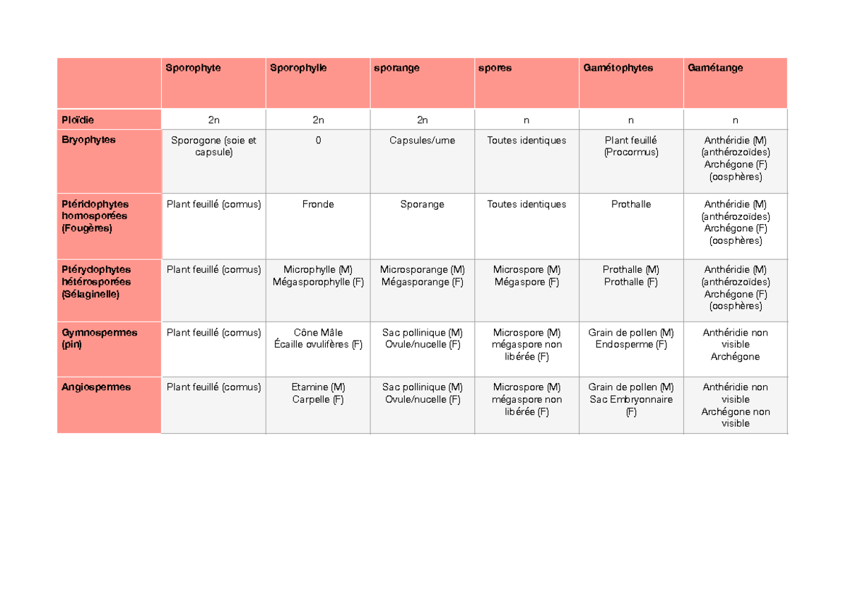 Revision bv - tableau de révision - Sporophyte Sporophylle sporange ...