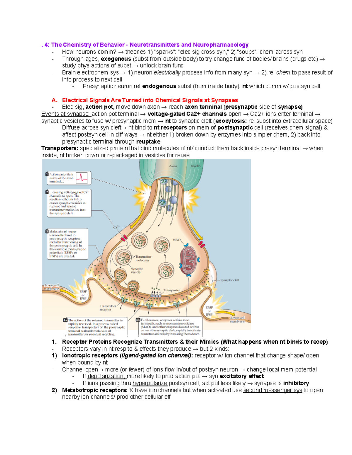 Neuro 102 CH. 4 The Chemistry of Behavior - Neurotransmitters and ...