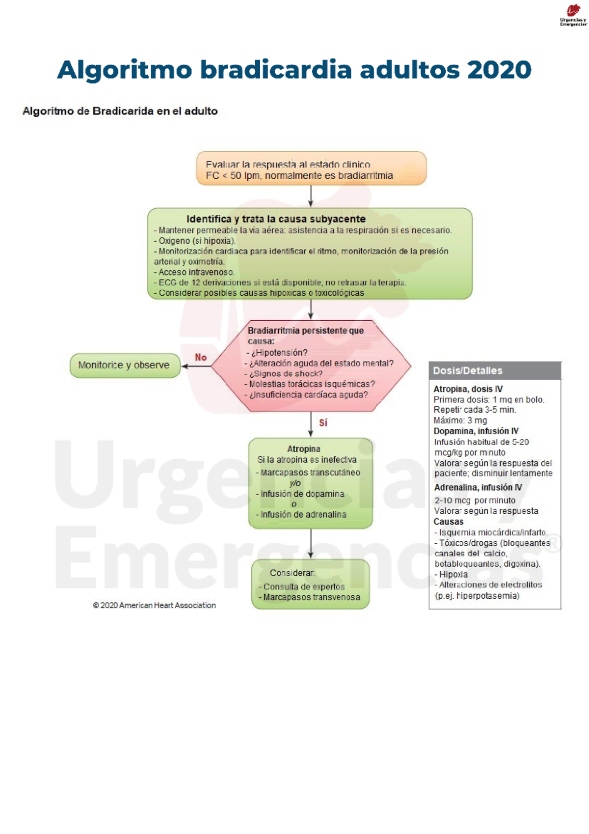 Algoritmos Bradiarritmia - Urgencias Emergencias Algoritmo bradicardia ...