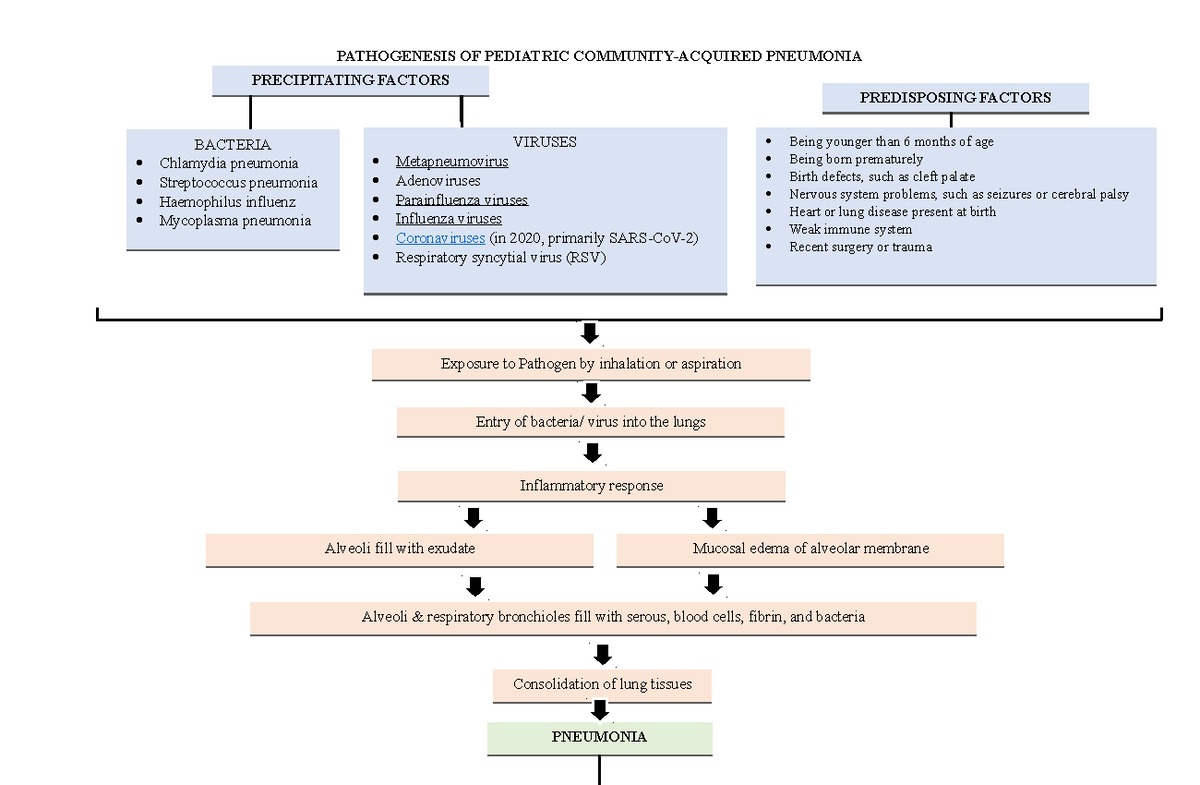 Pathogenesis AND LTP OF PCAP - PATHOGENESIS OF PEDIATRIC COMMUNITY-ACQUIRED PNEUMONIA ...