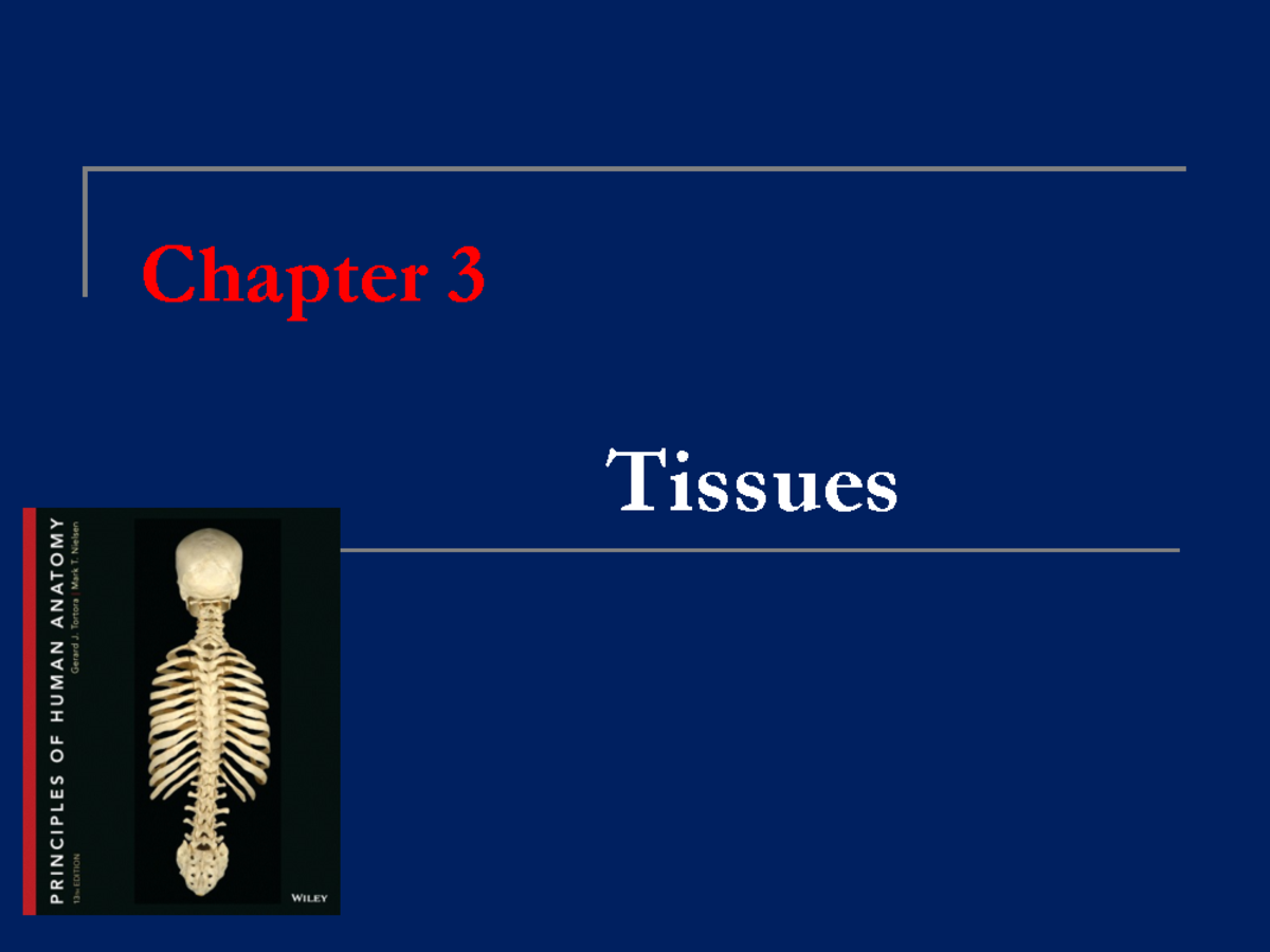 01.10.2017 HLSC 120 Tissues (New) - Human Anatomy - Chapter 3 Tissues ...