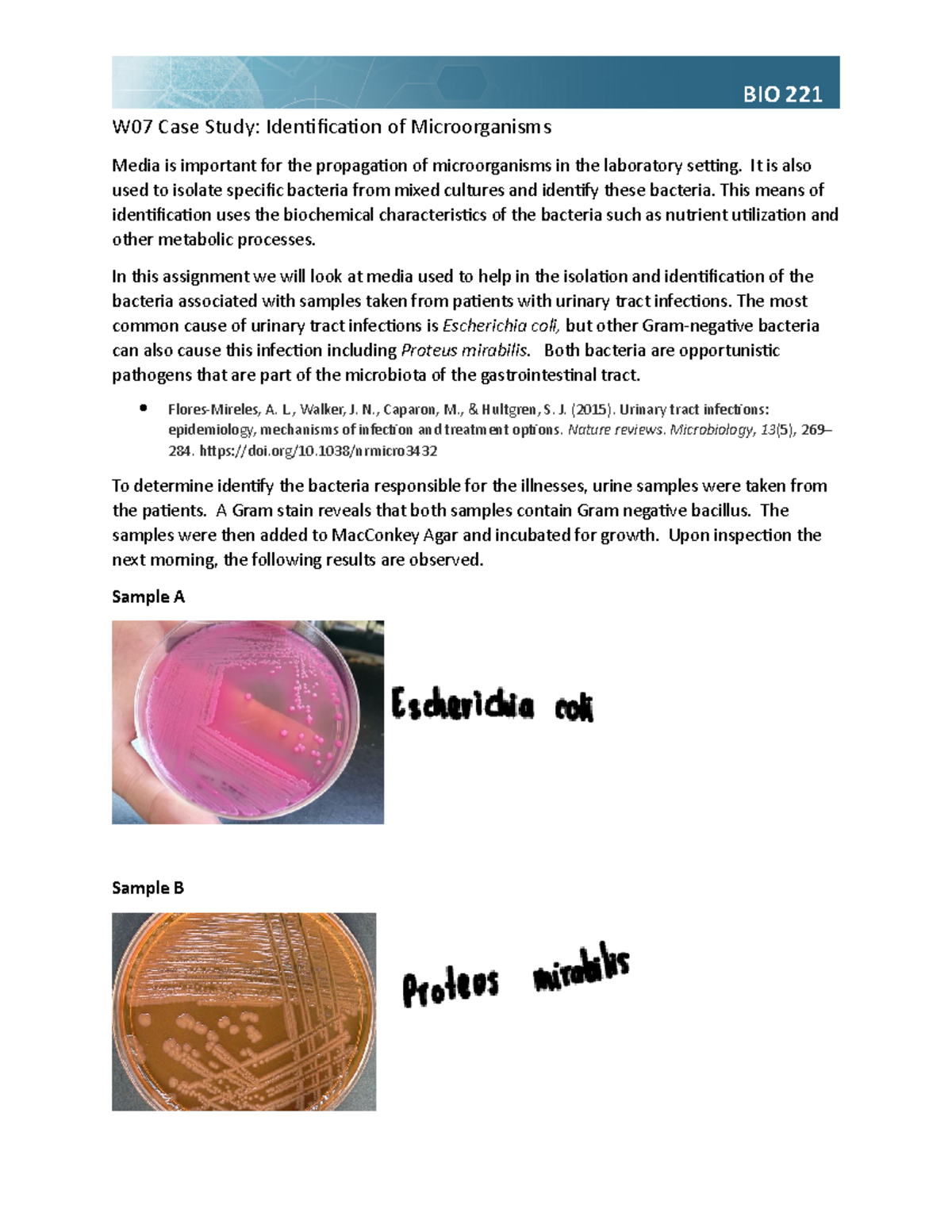 Bio221 document w07Case Study B - W07 Case Study: Identification of ...