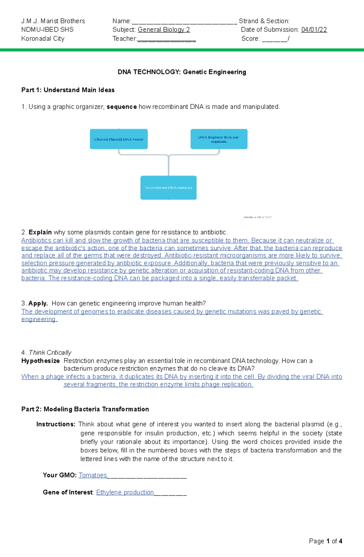 DNA Technology Worksheet - NDMU-IBED SHS Subject: General Biology 2 ...