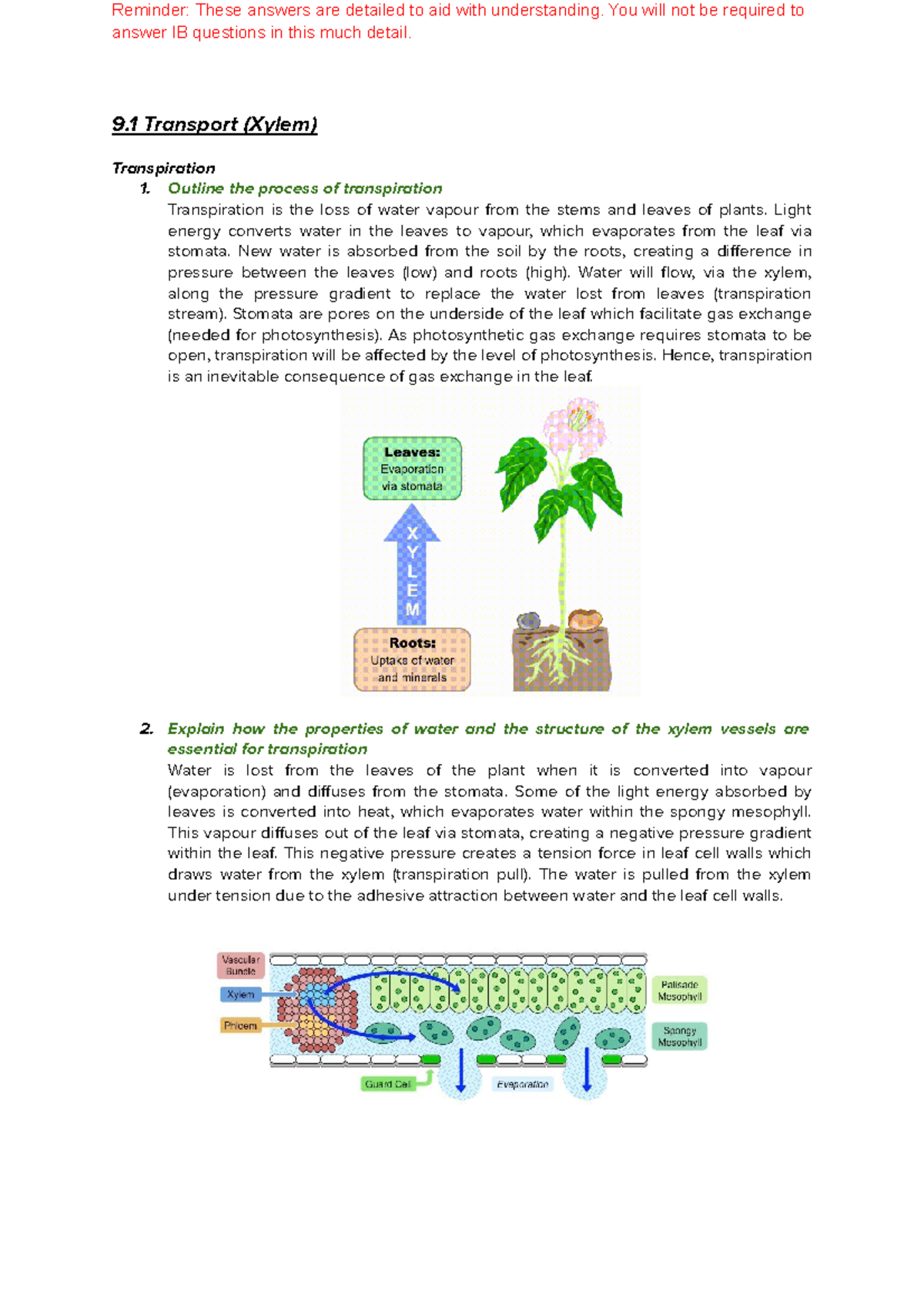 9. Plants (HL) - Biology Year 11/12 Band 6 Notes - answer IB questions ...