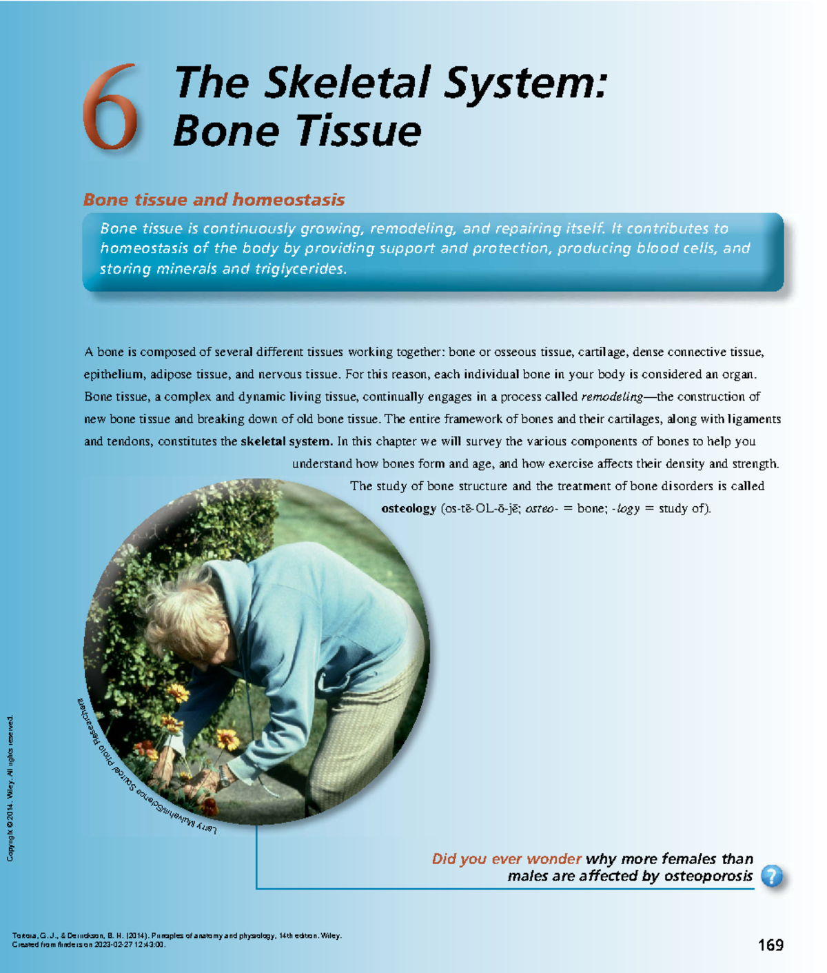 6 THE Skeletal System BONE Tissue Principles of Anatomy and Physiology ...
